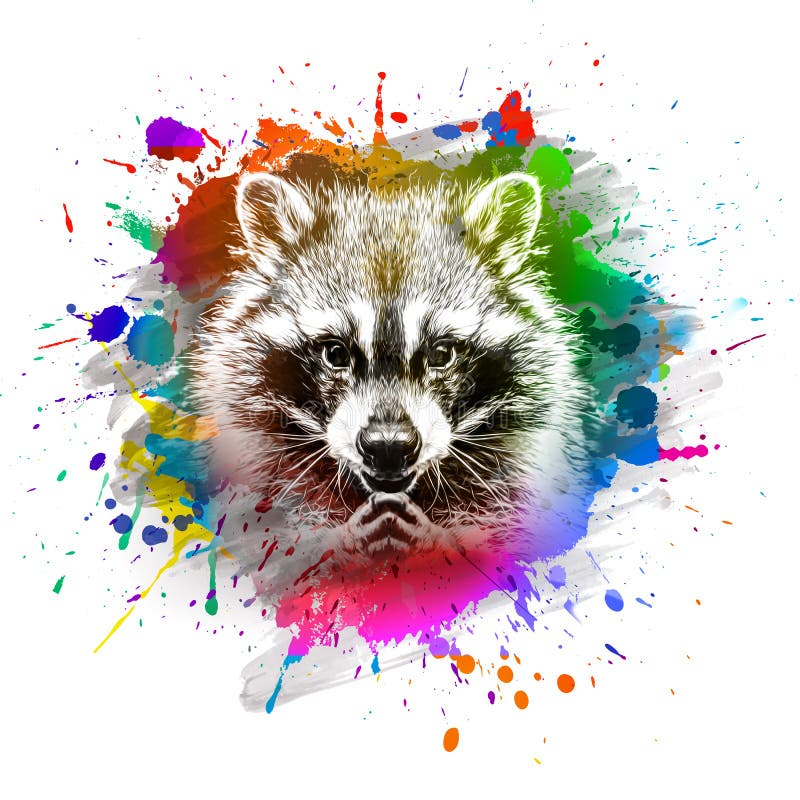 Raccoon with Creative Colorful Abstract Element on Background Stock ...