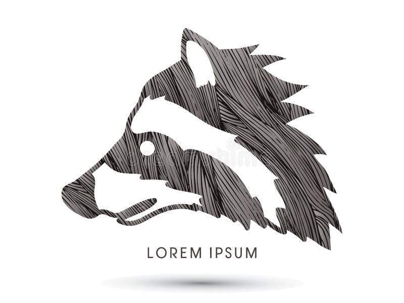 Raccoon Side View Stock Illustrations – 91 Raccoon Side View Stock ...