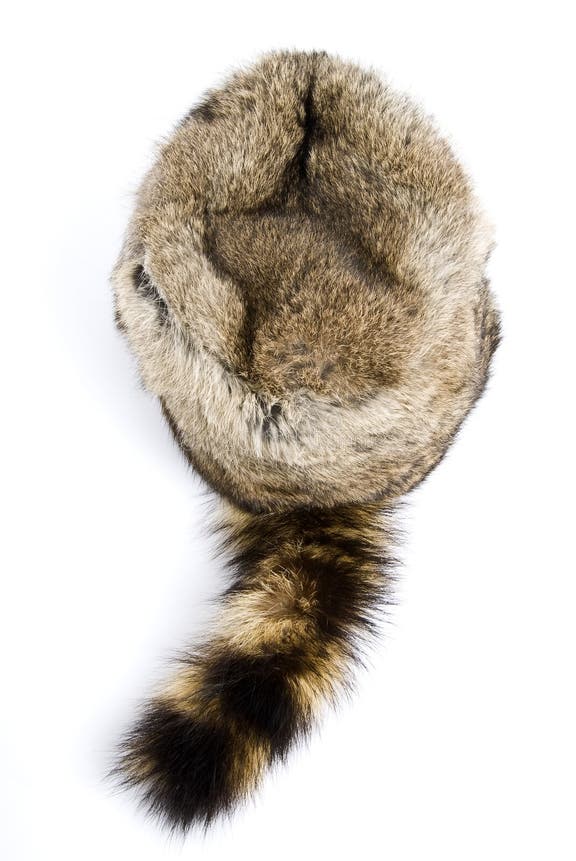 Raccoon Hat stock image. Image of rabbit, winter, isolated - 6515501