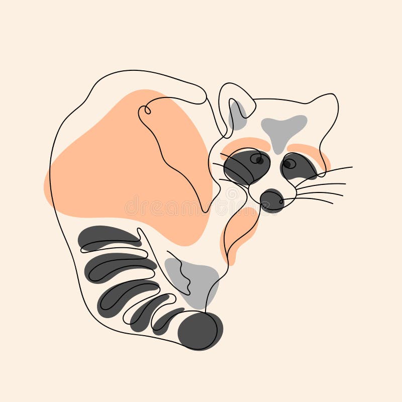 Continuous Line Raccoon Stock Illustrations – 21 Continuous Line ...