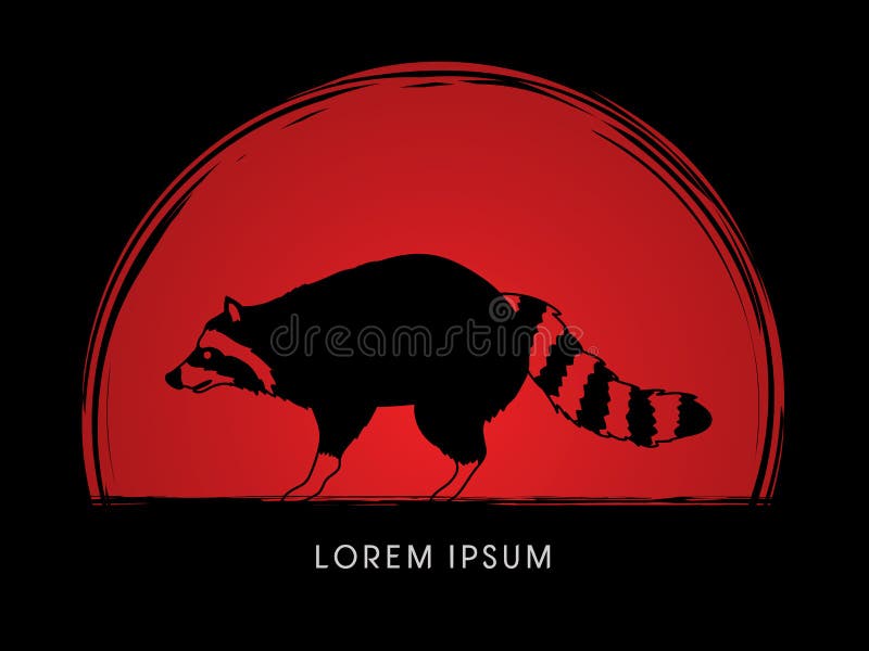 Raccoon Side View Stock Illustrations – 91 Raccoon Side View Stock ...