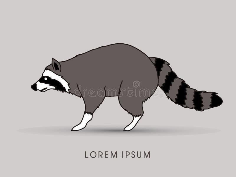 Raccoon Side View Stock Illustrations – 91 Raccoon Side View Stock ...
