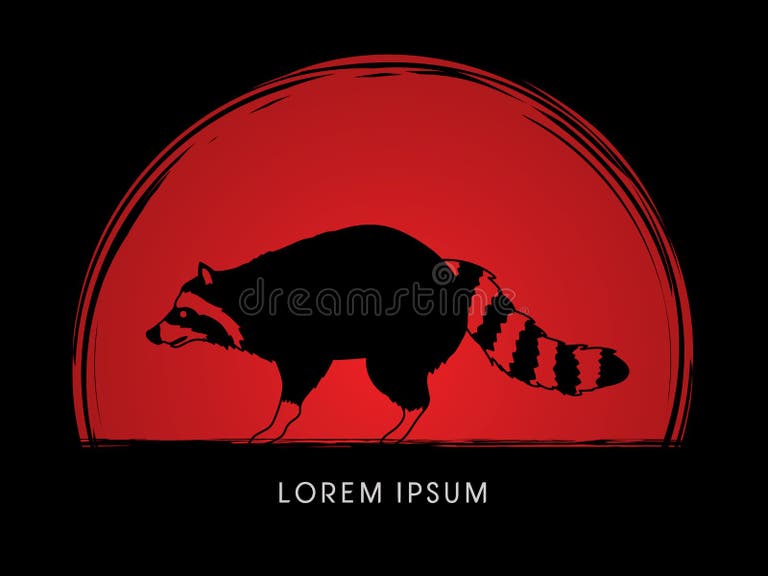 Raccoon side view stock vector. Illustration of lotor - 87560981