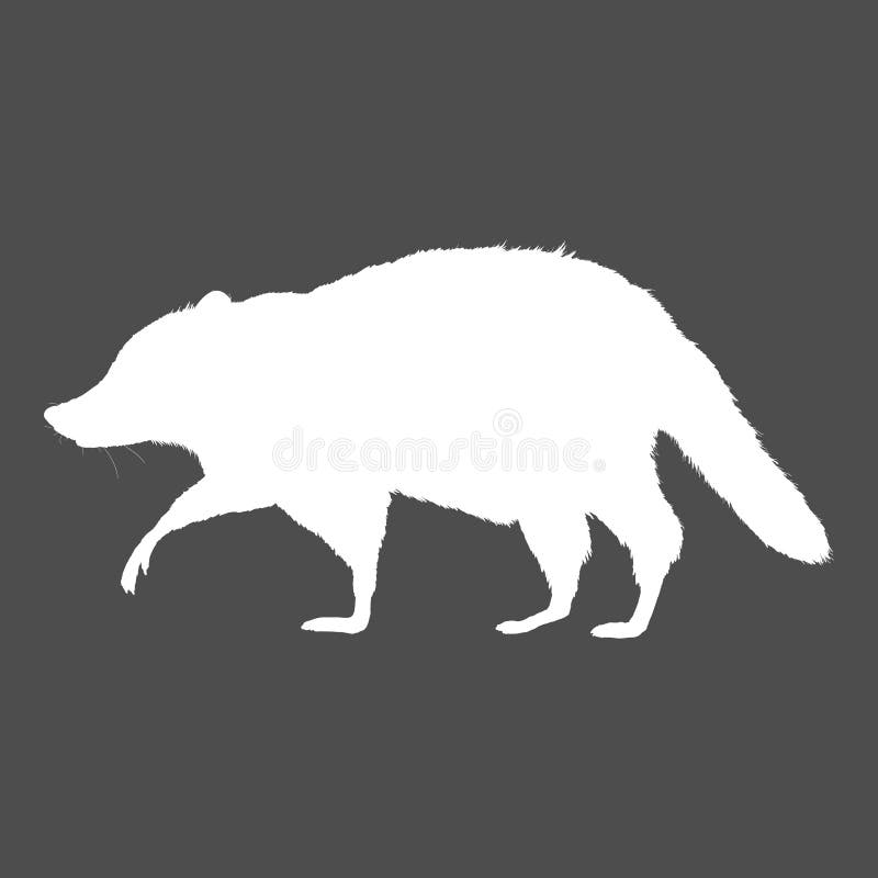 Raccoon Side View Stock Illustrations – 91 Raccoon Side View Stock ...