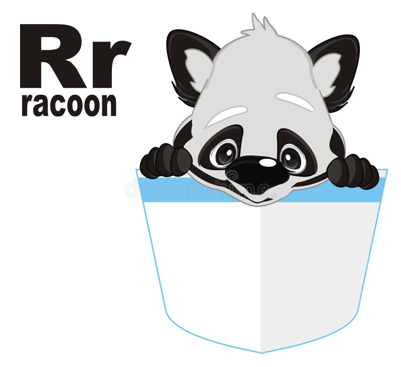 Mapache con las letras stock de ilustración. Ilustración de blanco ...