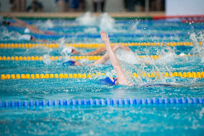 Race of Backstroke Swimmers in the Pool Stock Photo - Image of basin ...