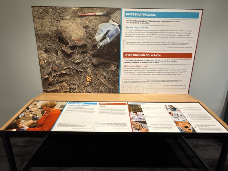 Race - are we so Different Exhibit at Science Museum of Minnesota in St ...