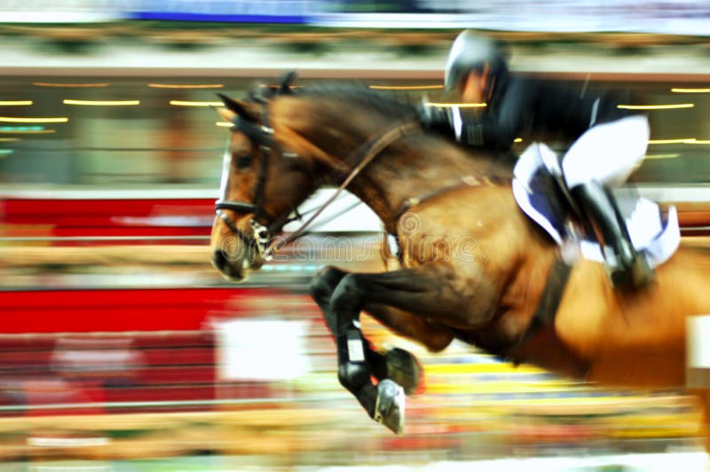 Horse and Trap Race stock image. Image of sport, race, wheel - 151943