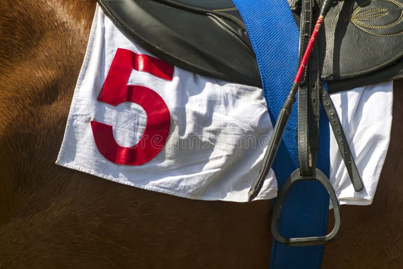 Number One Horse Prepares To Enter Start Gate at Horserace Stock Image ...