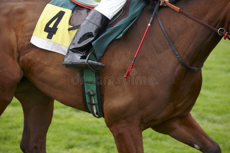 Horses Racing at Track stock image. Image of outdoors - 5025325