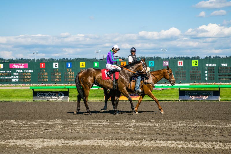 Race Horse on Track Heading Toward Start Gate Editorial Photography ...