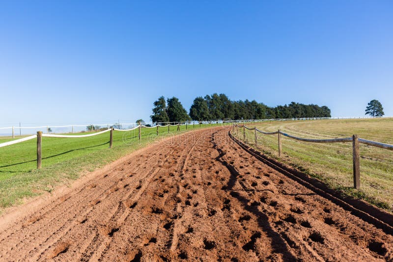 Race Horse Training Tracks Landscape Stock Photo - Image of animals ...