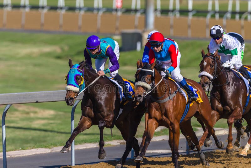 Race Horses Action editorial stock photo. Image of poly - 76843078