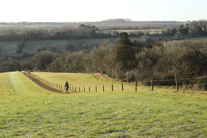 Race Horses Galloping Up the Hill Stock Image - Image of pasture ...