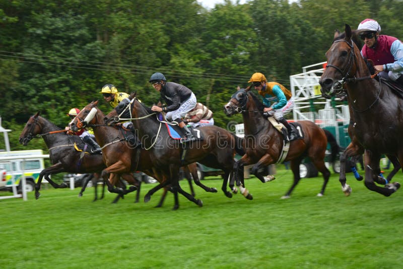 The Race editorial stock image. Image of power, stirrup - 43349429