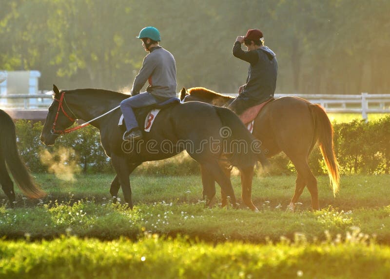 Race Horses and the Riders Early in the Morning on a Hippodrome ...