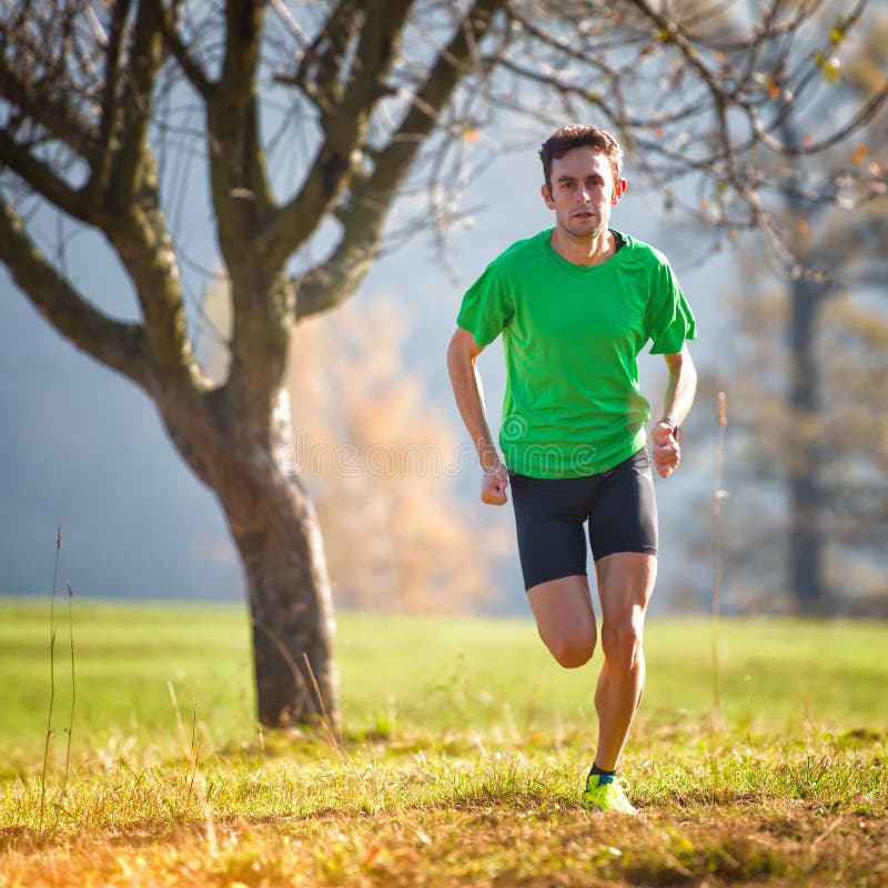 Race in the Mountains an Athlete Trains in the Fall Stock Image - Image ...