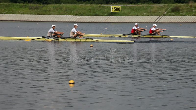 Race on rowing stock video. Video of feed, olympics, force - 54603279