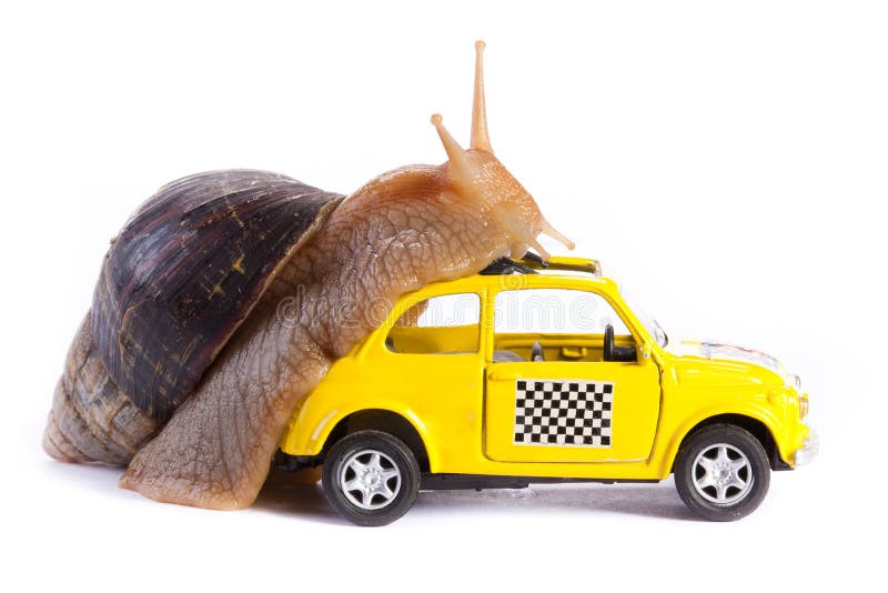 Yellow Snail Toy 2 Stock Images - Download 104 Royalty Free Photos