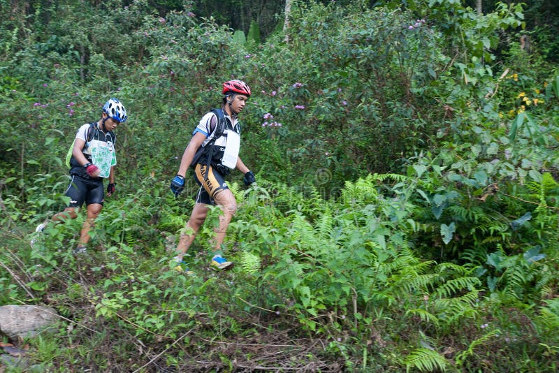 A Racer by the Forest in the Race Editorial Stock Image - Image of ...