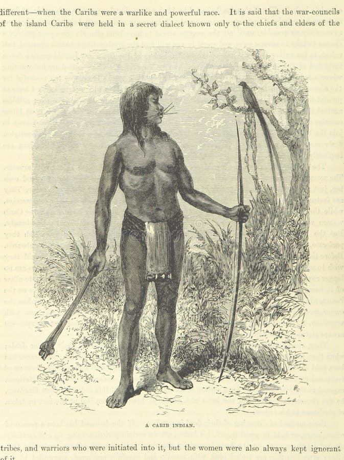 British Library Digitised Image From Page 304 Of "The Races Of Mankind ...