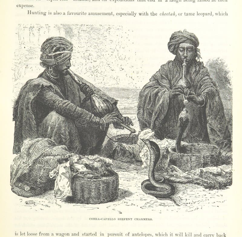 British Library Digitised Image from Page 479 of "the Races of Mankind ...