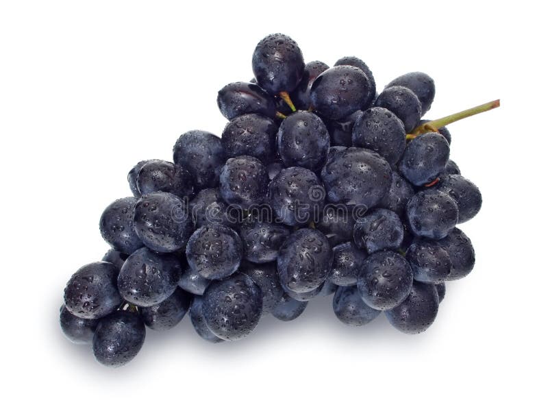 Racimo de la uva imagen de archivo. Imagen de vino, sano - 1358453