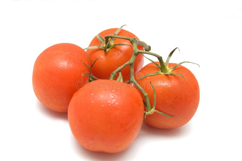 Racimo de tomates imagen de archivo. Imagen de vitamina - 11945209