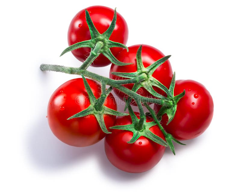 Racimo De Tomates En El Tov De La Vid, Colgando Foto de archivo ...