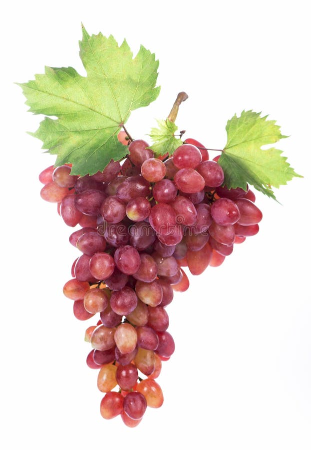 Racimo De Uvas Aisladas En El Fondo Blanco. Imagen de archivo - Imagen ...