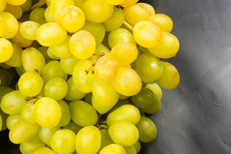 Racimo grande de las uvas foto de archivo. Imagen de jugo - 83333784