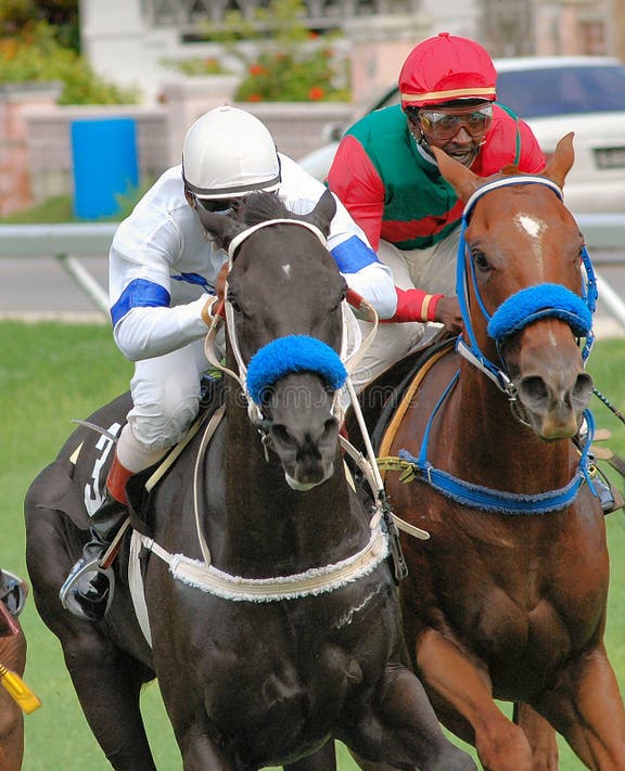 Racing stock photo. Image of racing, barbados, jockey, colt - 150954