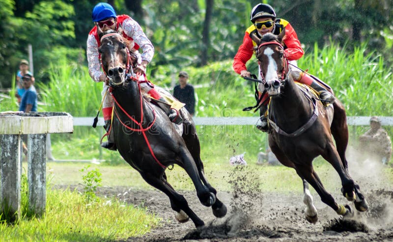 Racing 2 horse editorial image. Image of event, sport - 83068225