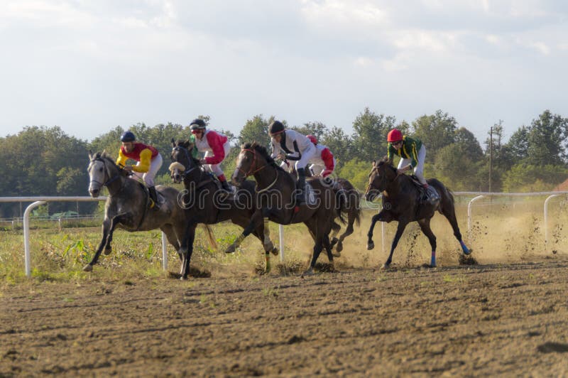 Racing horses editorial stock photo. Image of racing - 51413298