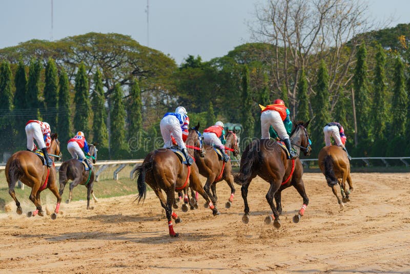 Racing Horses Starting a Race Stock Photo - Image of outdoor ...