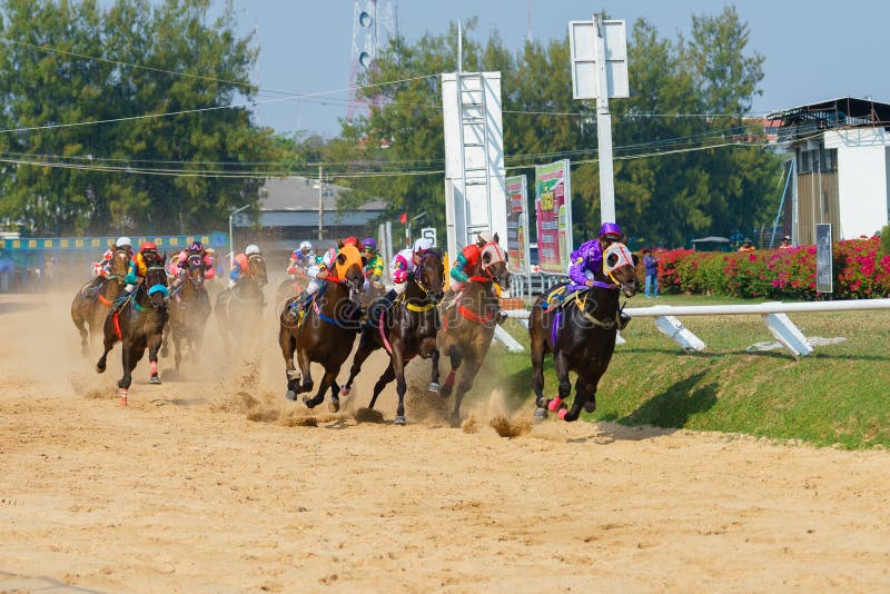 Racing Horses Starting a Race Editorial Stock Image - Image of ride ...