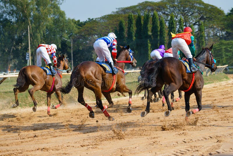 Racing Horses Starting a Race Editorial Photo - Image of compete, quick ...