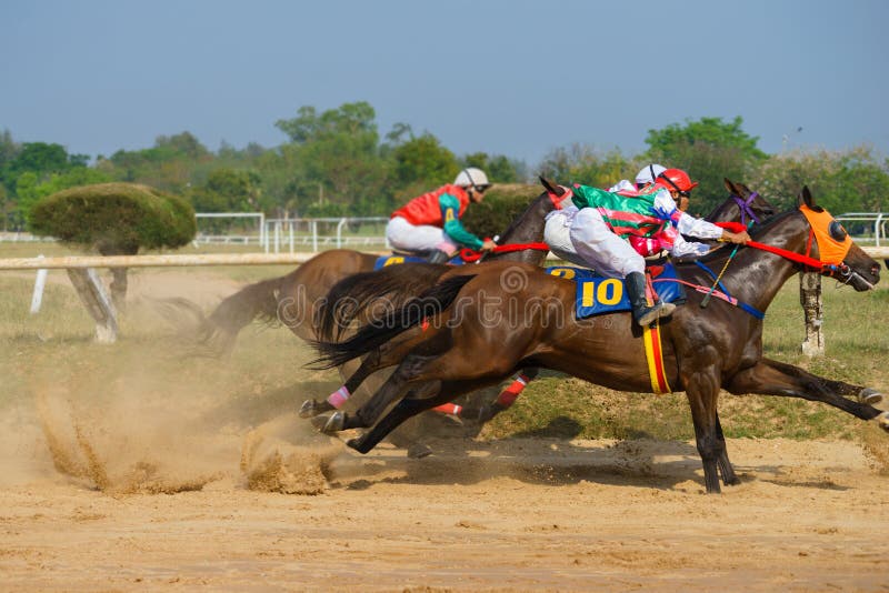 Racing Horses Starting a Race Editorial Image - Image of closeup ...