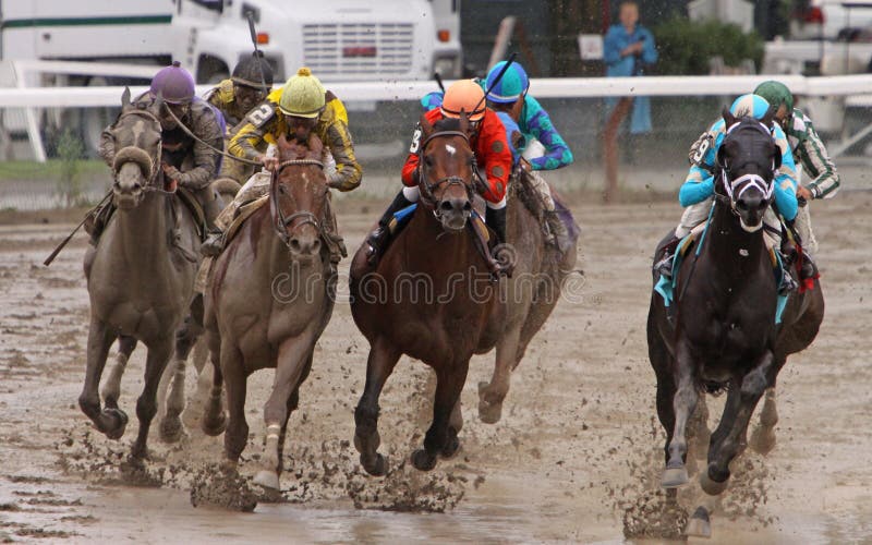 Thoroughbred Horses Head Down the Homestretch Editorial Photo - Image ...
