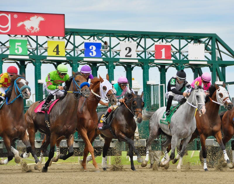 Racing from Parx Racing and Casino Editorial Stock Photo - Image of ...