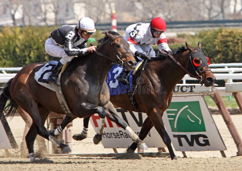 Racing to the Finish editorial photo. Image of close - 19155006