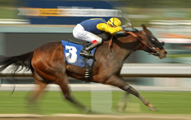 Racing to the Finish editorial stock photo. Image of hippodrome - 23943658