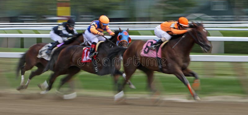 Racing for the Win editorial photo. Image of speed, hippodrome - 26447811