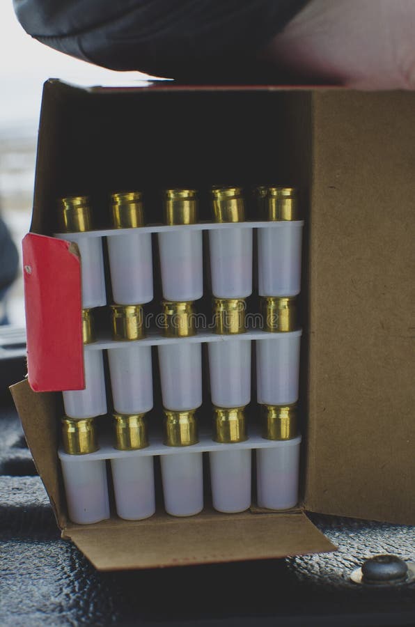 22 bullet rounds stock image. Image of brass, white - 260120509