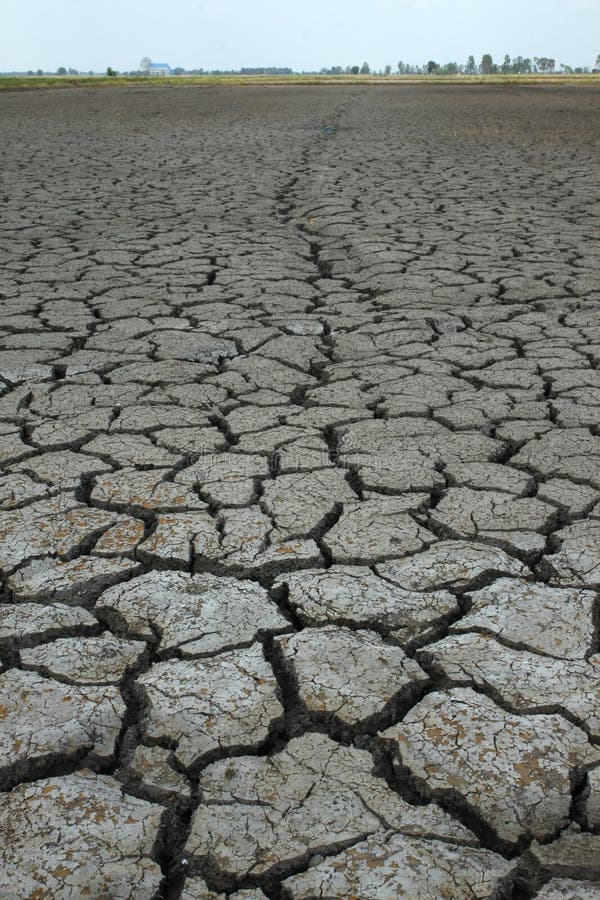 Racked earthc stock image. Image of crack, erosion, broken - 23779525