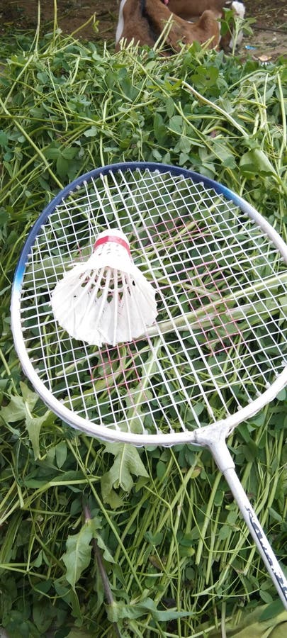 RACKETS Indian sports stock photo. Image of stadium - 248209742