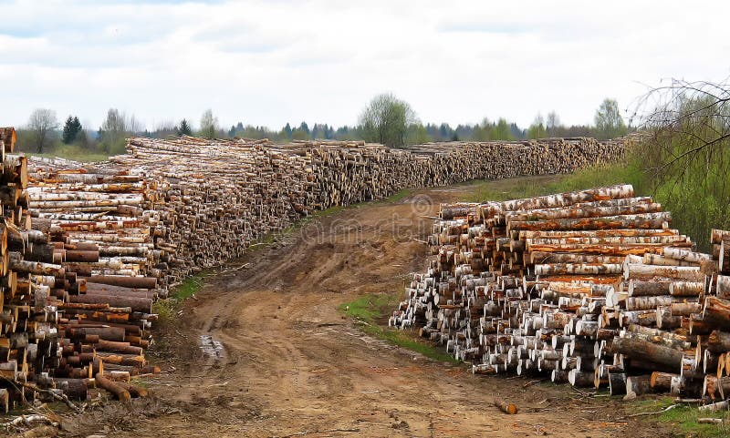 Racks with Logs of the Road Stock Image - Image of preservation ...