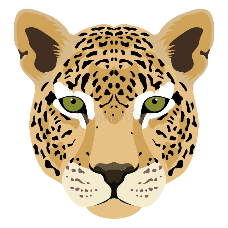 Gepard Leopard Head Face Vector Illustration Animal Clipart Stock ...