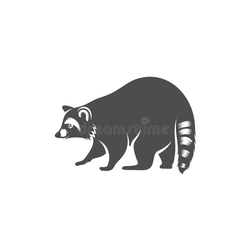 Racoon Logo Design Vector. Icon Symbol Stock Vector - Illustration of ...
