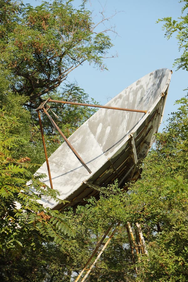 Radar stock image. Image of leaves, tree, plant, green - 7179179